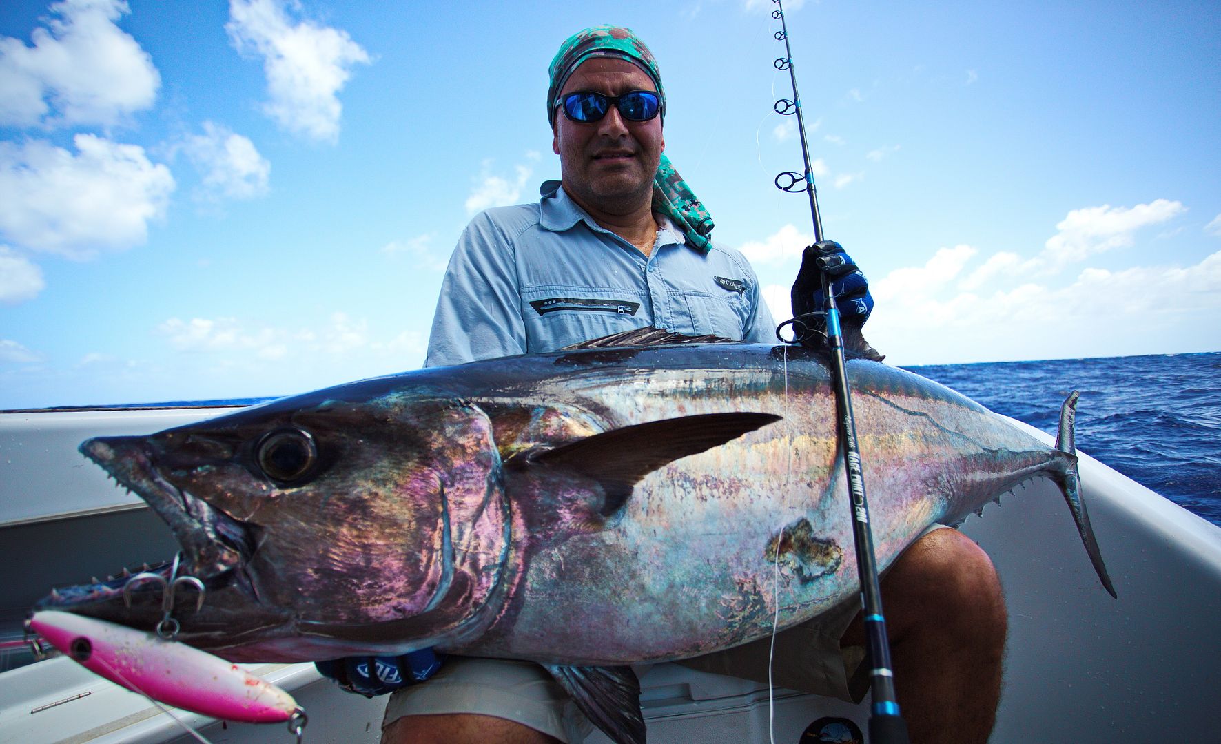 L'archipel des Chesterfield, Nouvelle Calédonie Jan 2016 | Bloodydecks