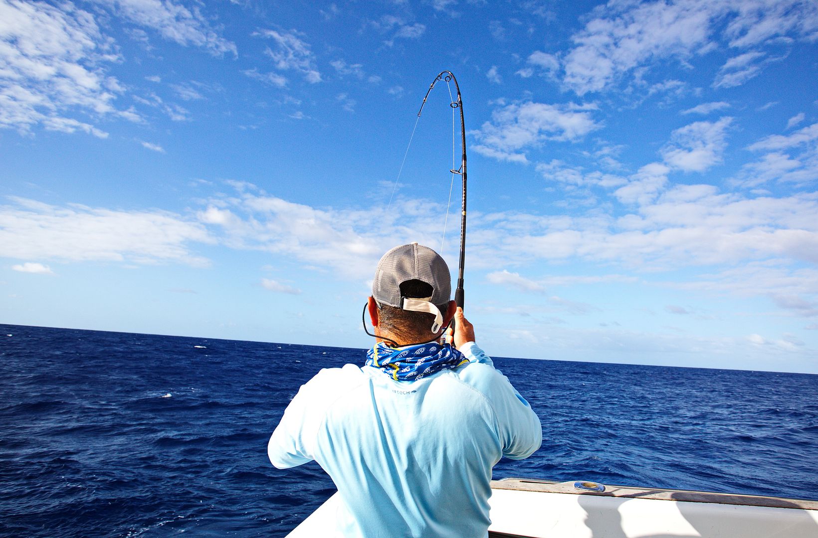 L'archipel des Chesterfield, Nouvelle Calédonie Jan 2016 | Bloodydecks