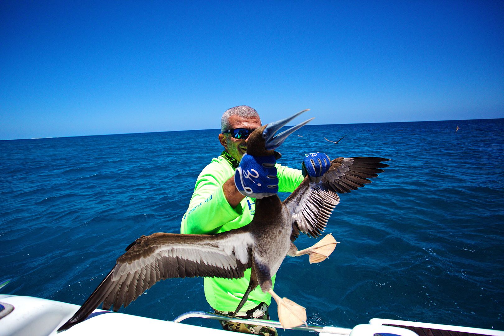 L'archipel des Chesterfield, Nouvelle Calédonie Jan 2016 | Bloodydecks
