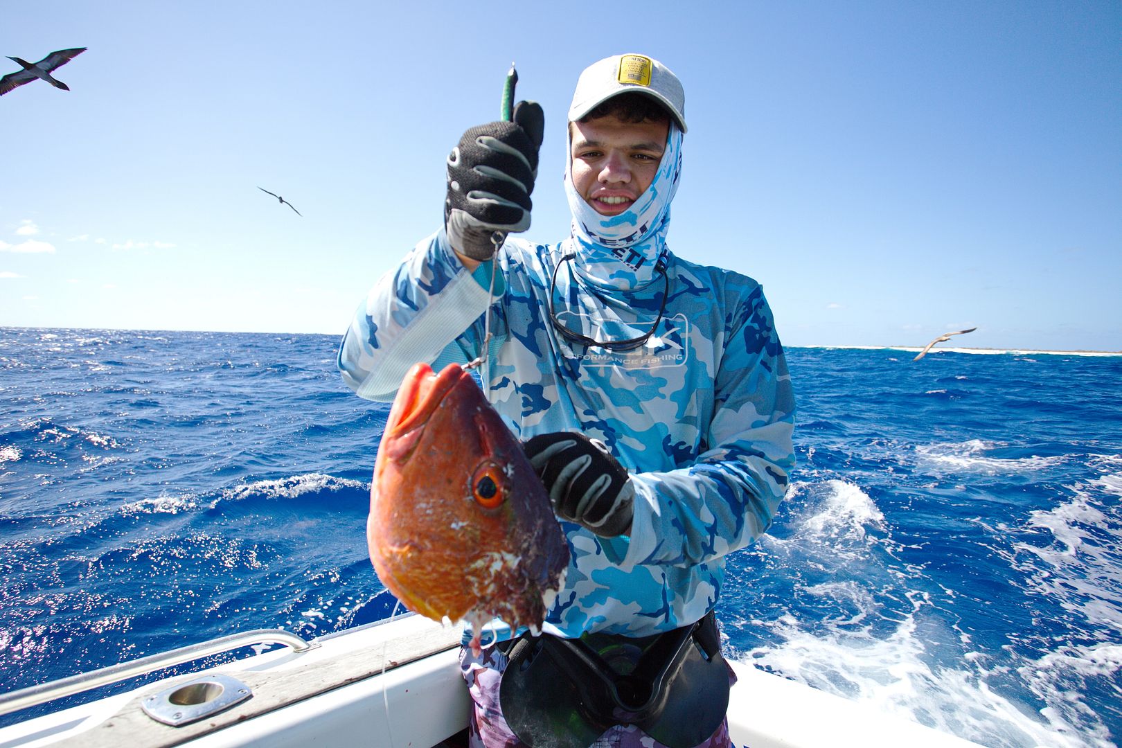 L'archipel des Chesterfield, Nouvelle Calédonie Jan 2016 | Bloodydecks