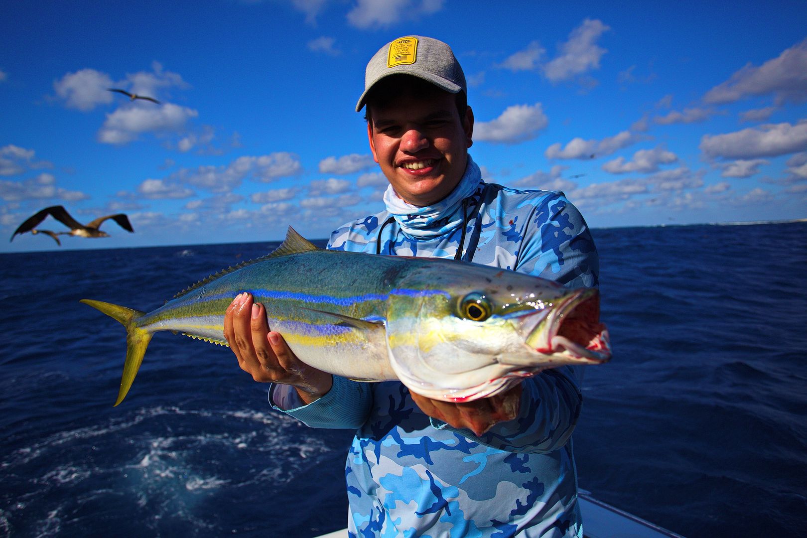 L'archipel des Chesterfield, Nouvelle Calédonie Jan 2016 | Bloodydecks