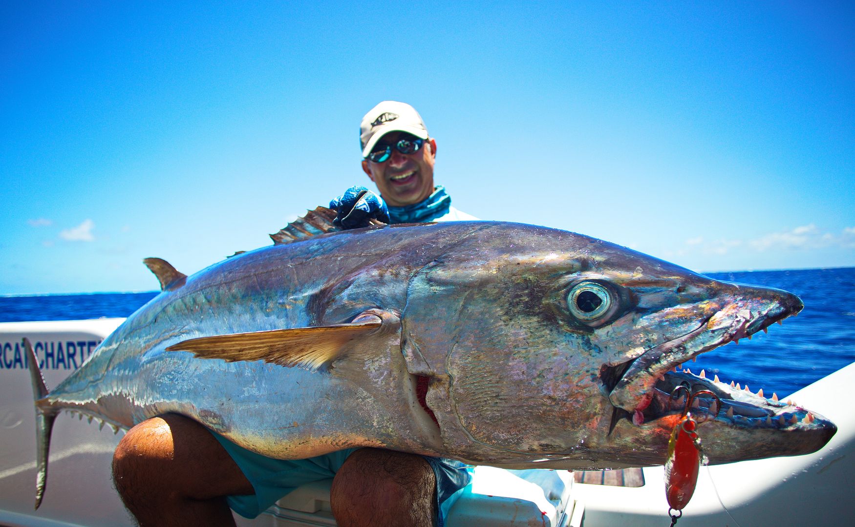 L'archipel des Chesterfield, Nouvelle Calédonie Jan 2016 | Bloodydecks