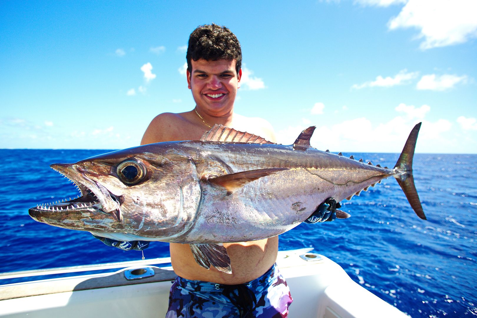 L'archipel des Chesterfield, Nouvelle Calédonie Jan 2016 | Bloodydecks