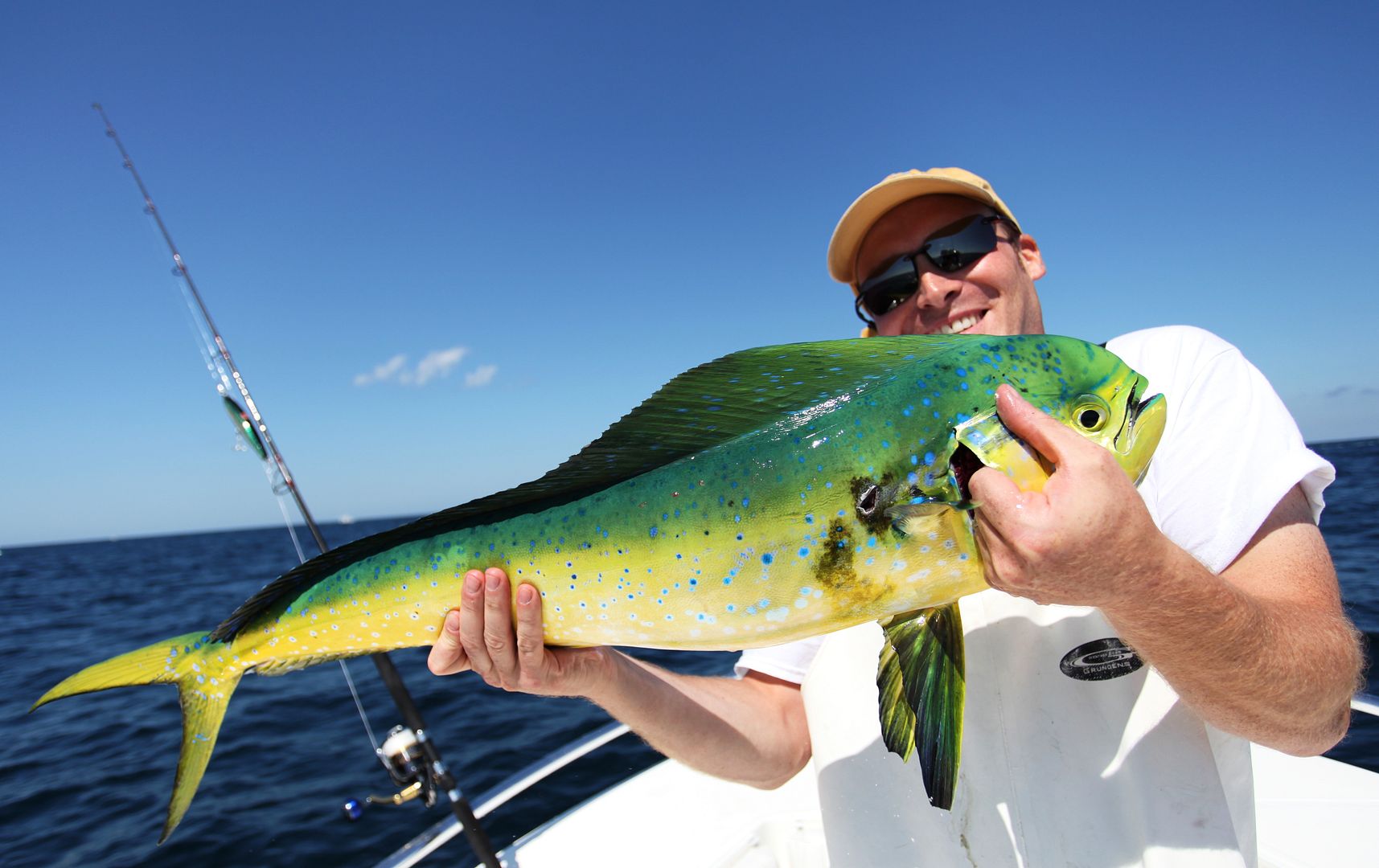 Chicken Canyon & Atlantic Princess Wreck, July 2014 | Bloodydecks